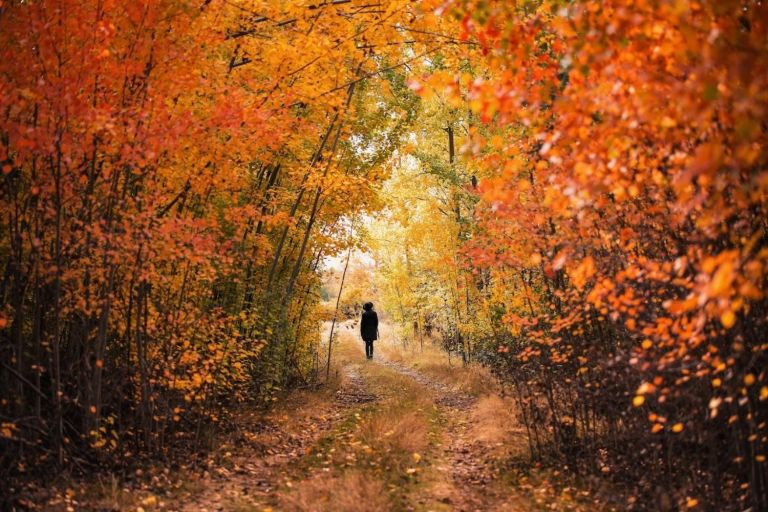 6 Great Autumn Spots In The Mackenzie Mackenzie Region New Zealand 6-great-autumn-spots-in-the-mackenzie-mackenzie-region-new-zealand